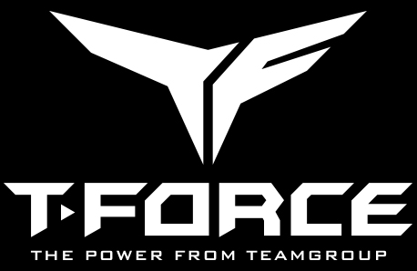 Team T-FORCE VULCAN TUF Gaming Alliance 16GB (2 x 8GB) 288-Pin DDR4 ...