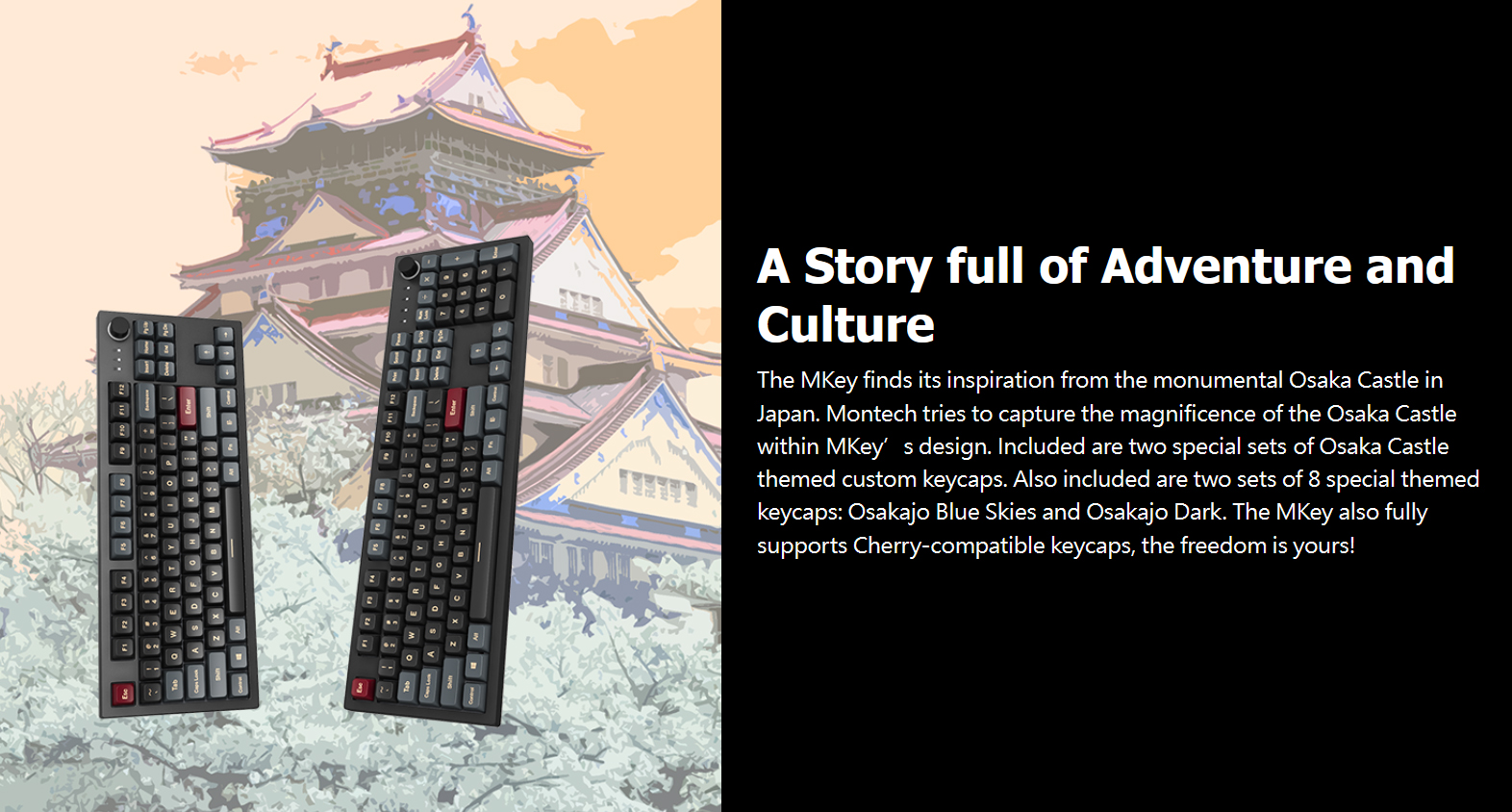 Montech MKey Mechanical Gaming Keyboard: Customizable RGB LED, Premium ...