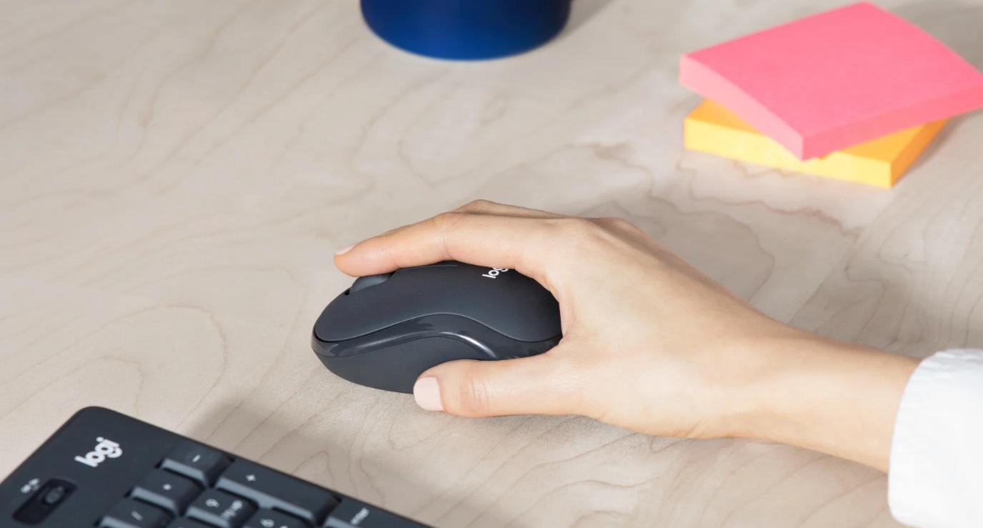 Logitech MK295 Wireless Mouse & Keyboard Combo with SilentTouch ...