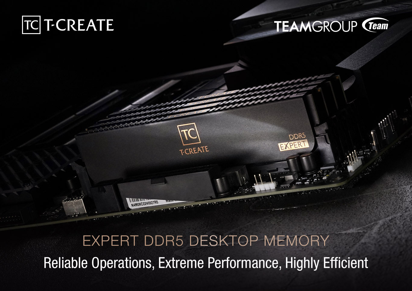 Team T-CREATE EXPERT 32GB (2 x 16GB) DDR5 6400 (PC5 51200) Desktop ...